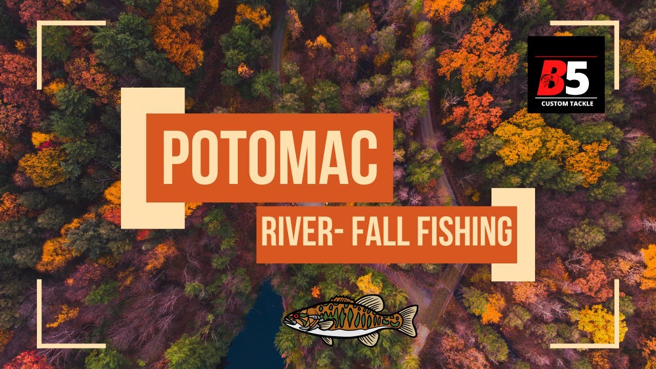 Upper Potomac River- Potomac Piedmont Series- Fall Fishing for ...