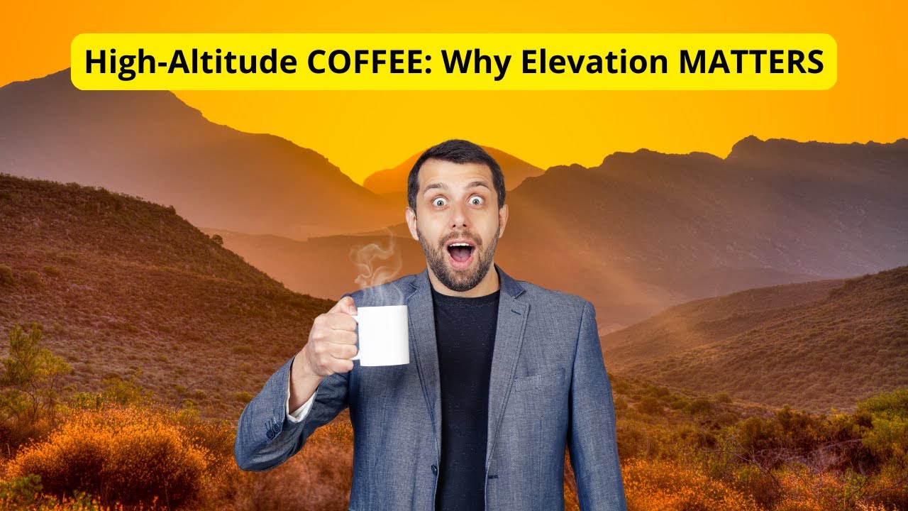 The SECRETS of High-Altitude Coffee Revealed - YouTube