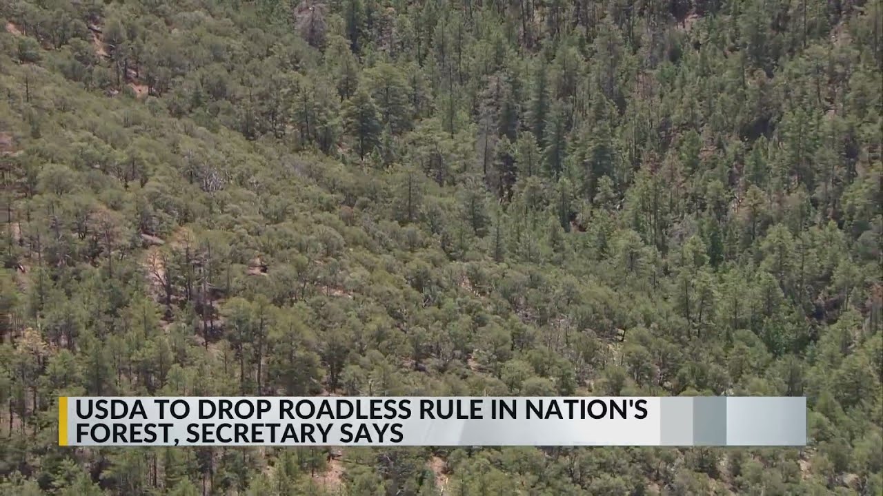 USDA to drop Roadless Rule in nation's forests - YouTube