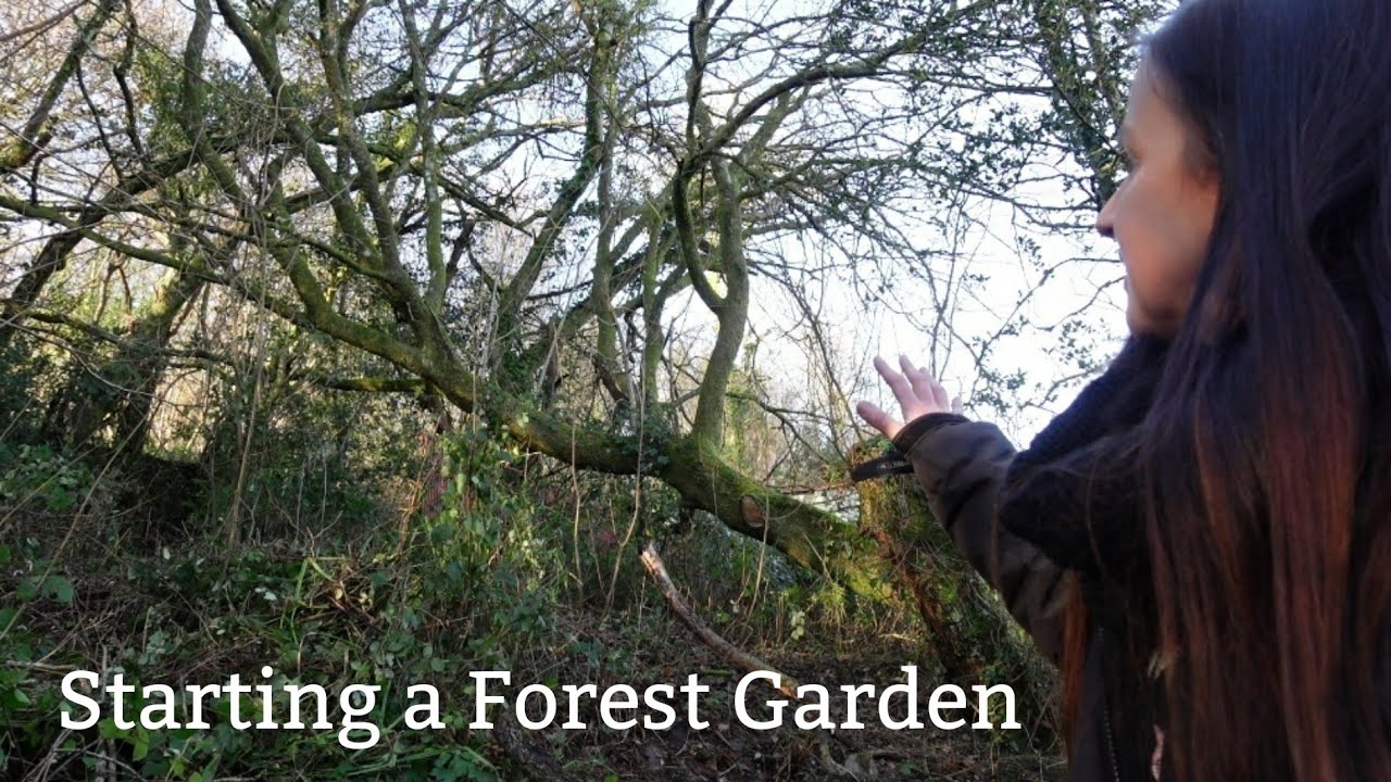 Starting a Forest Garden - YouTube