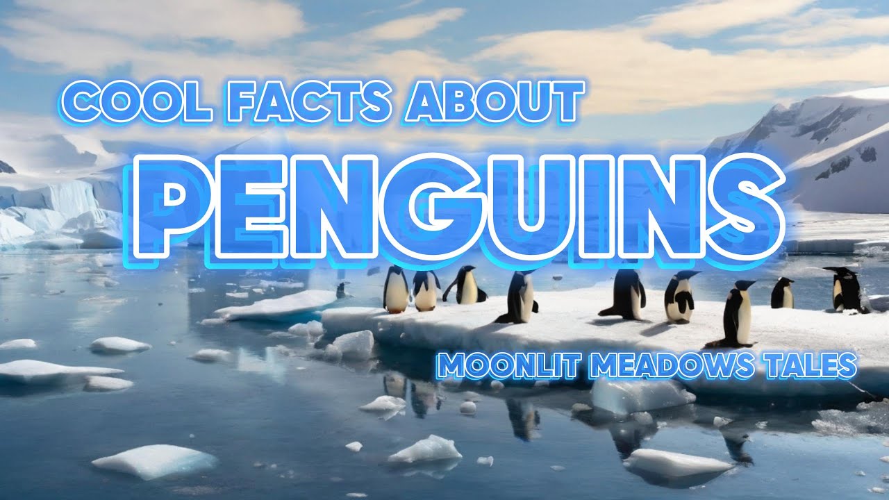 Cool facts about Penguins🐧 |👶🏻 6-minute Bedtime Stories for Kids with ...