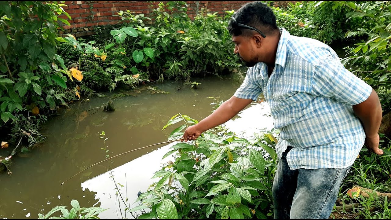 Traditional Fish hunting By Hook || Professional Fish Hunter || Fishing ...