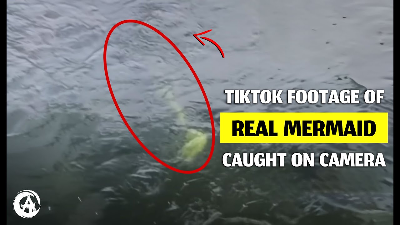TikTok Fisherman Catches a Mermaid or Siren Live on Camera (With ...