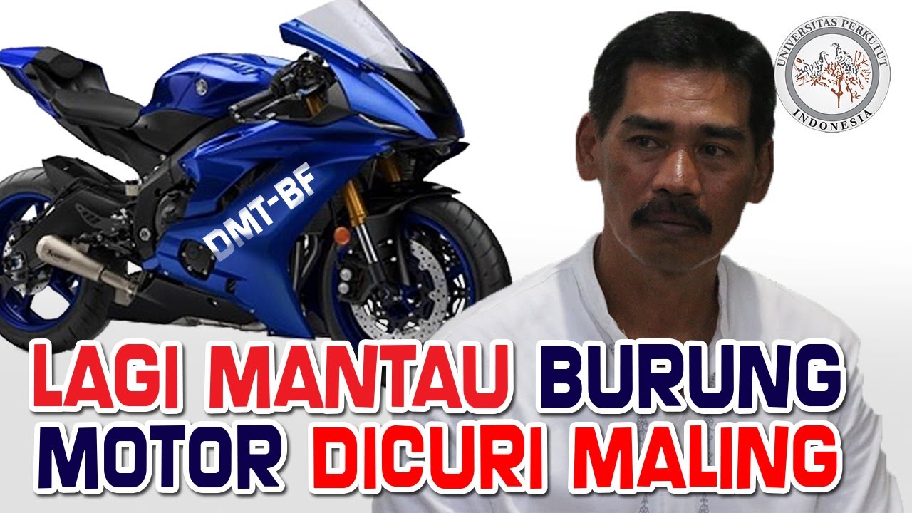 DMT Bird Farm, Duka & Lara Ketua P3SI Pengda Depok Yang Berbuah Manis ...