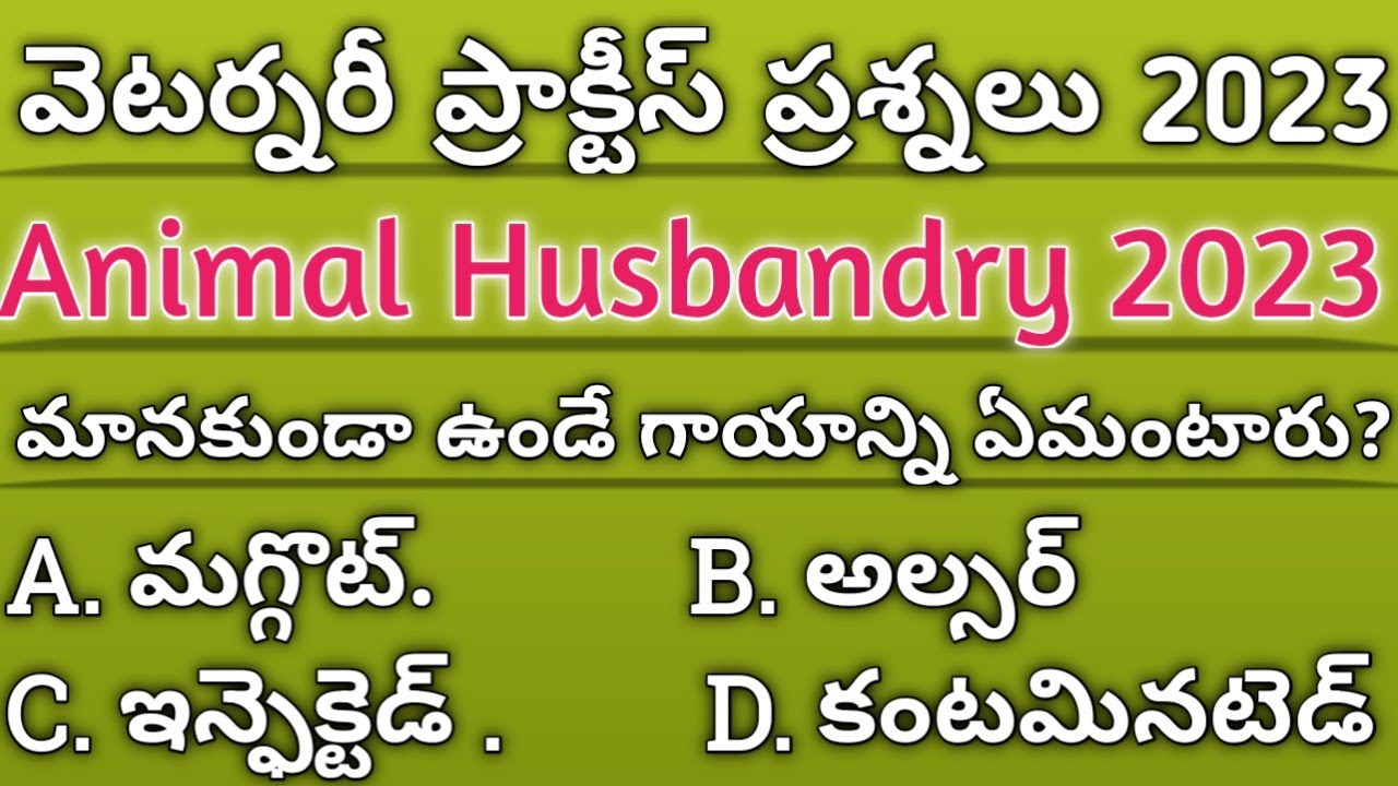 AHA model papers | veterinary practice tests | animal husbandry model ...