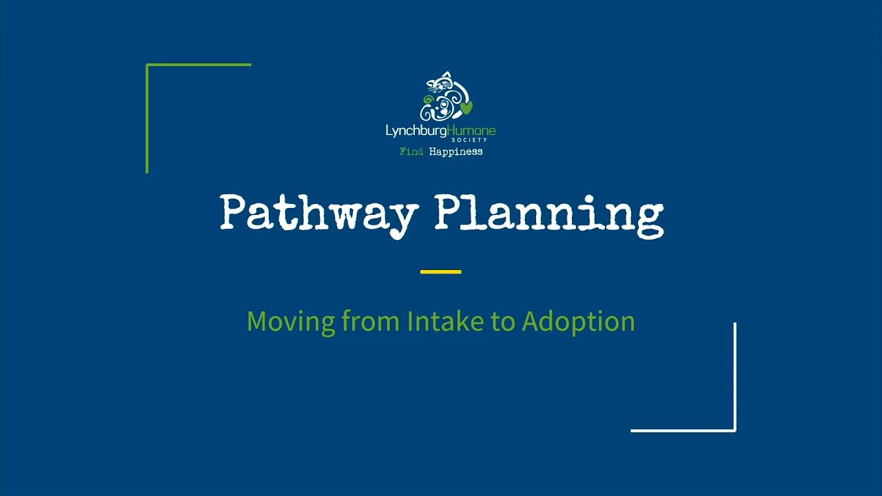 Pathway Planning: Moving from Intake to Adoption - YouTube