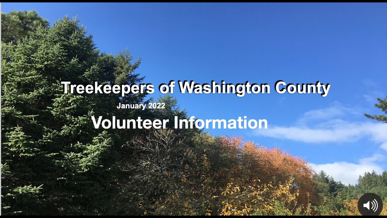 Treekeepers: Volunteer Orientation Video - YouTube