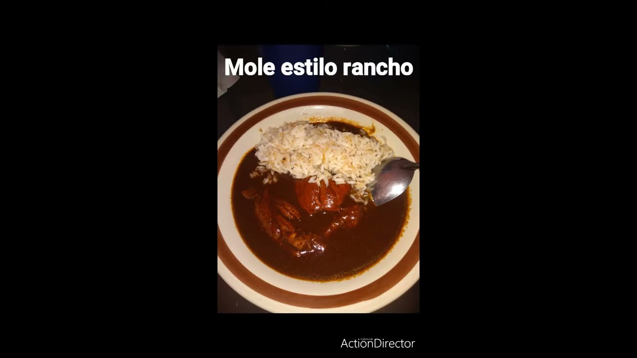Mole ranchero😋 - YouTube