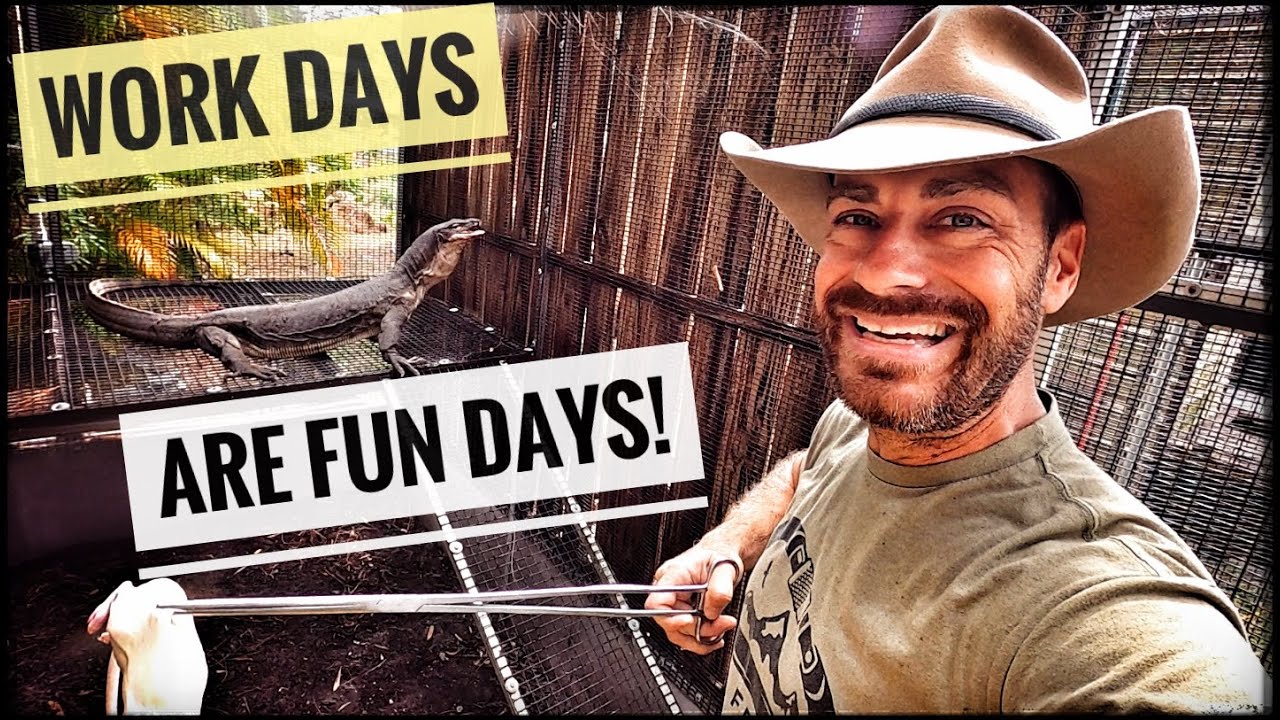 Visiting Slinky & the Monitor Lizards! - YouTube