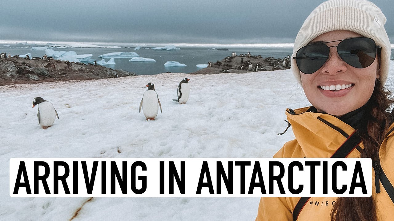 SAILING ANTARCTICA | First penguin spotting - YouTube