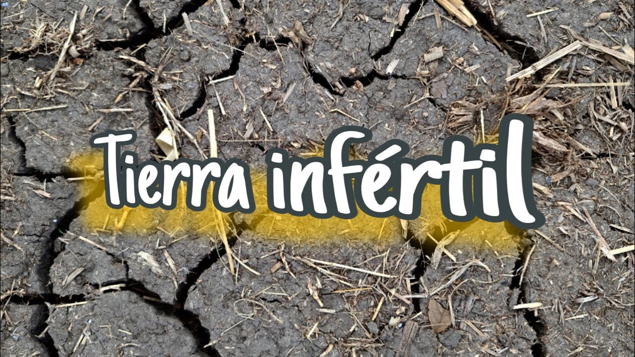 #1 -Tierra infertil - YouTube