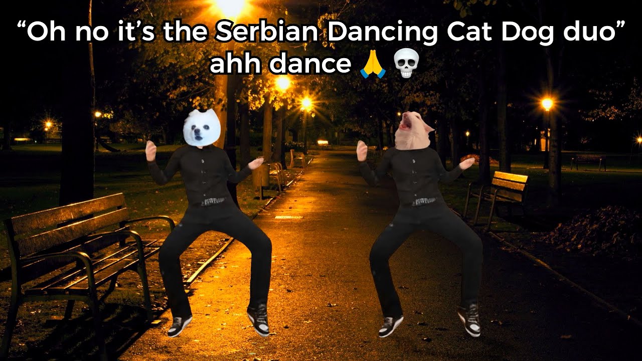 "Serbian Dancing Cat Dog Duo" ahh dance - YouTube