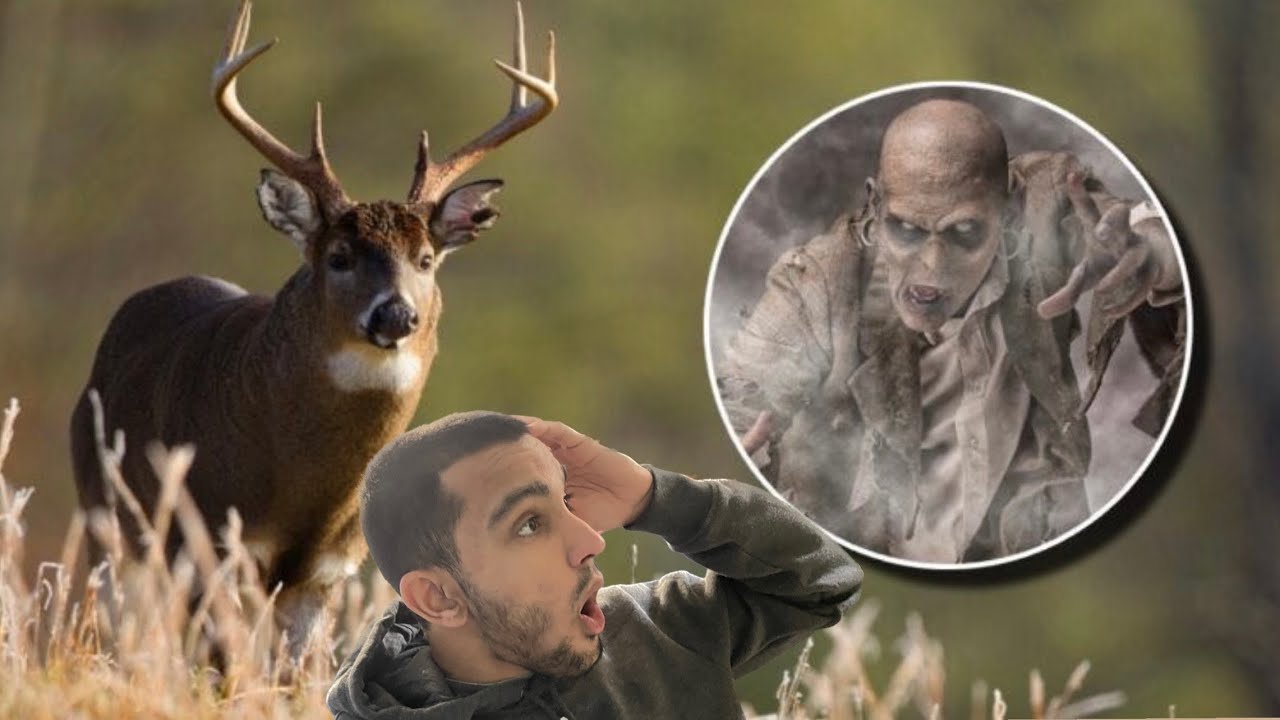 The Zombie Deer Disease(CWD) - YouTube