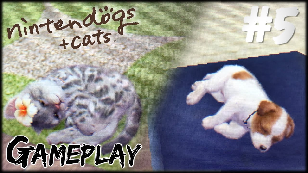 Nintendogs + Cats (Golden Retriever) Gameplay #5 [ITA] - YouTube