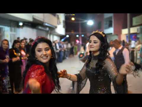 EVİN MÜZİK - AGİT & SEHİLE NİŞANI - DELİLO