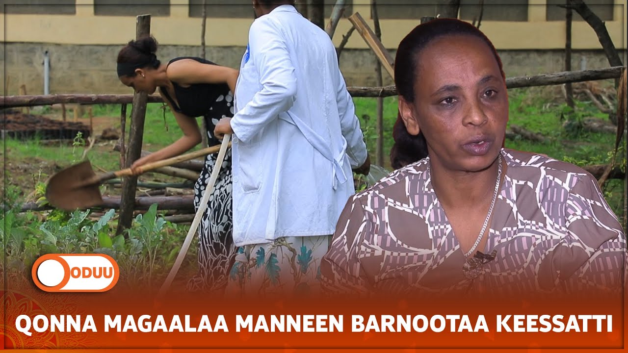 QONNA MAGAALAA MANNEEN BARNOOTAA KEESSATTI - YouTube