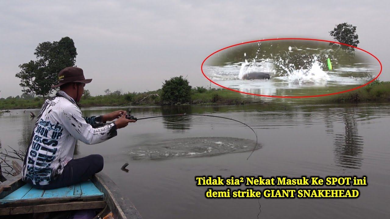 MENYUSURI SPOT DI HUTAN PEDALAM RIAU || MENCARI SPOT CASTING YANG TIDAK ...