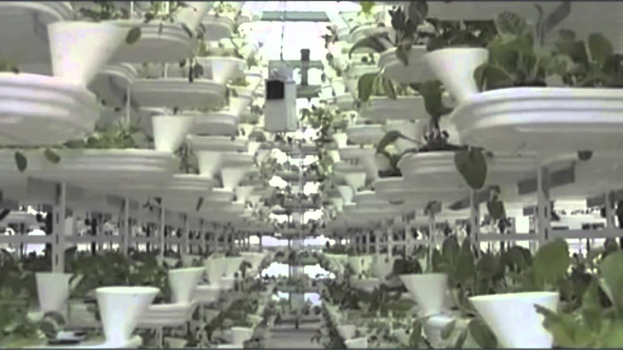 Table #1- Chinese Vertical Farming - YouTube
