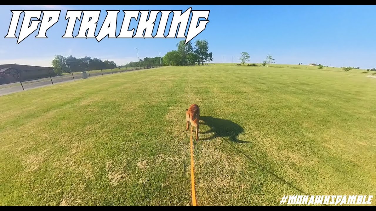 IGP Tracking - Mohawk's Gamble 5-27-2023 - YouTube