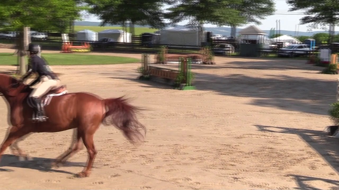 Video of REDROCK ridden by RACHEL HAMMES from ShowNet! - YouTube