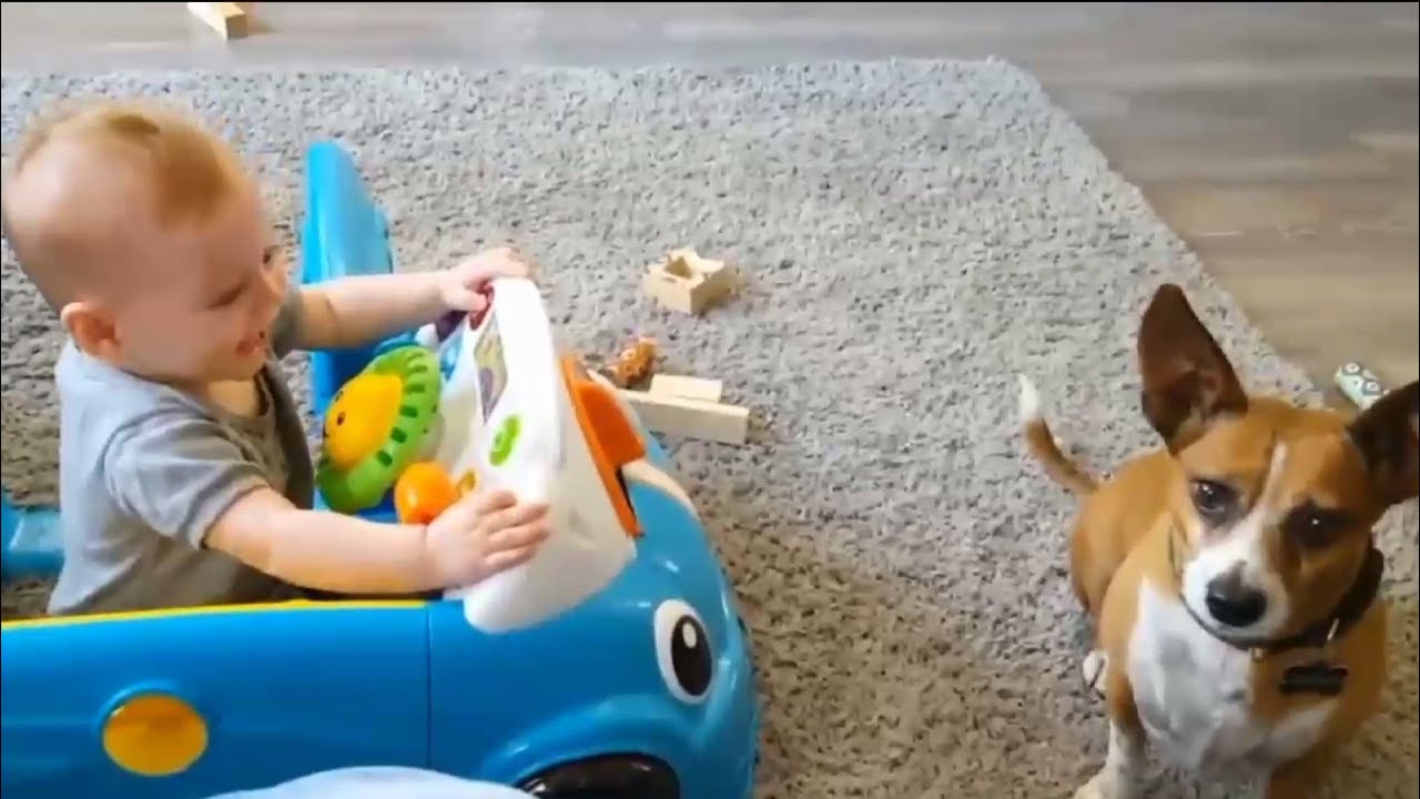 Cute babies playing with dogs/ funny baby/ puppies - YouTube