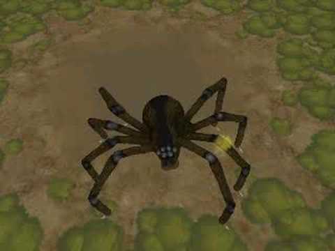 Spore: Bear Spider - YouTube