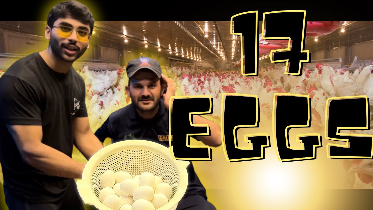 EATING 17 EGGS CHALLENGE! 🥚- Ep 13 - YouTube