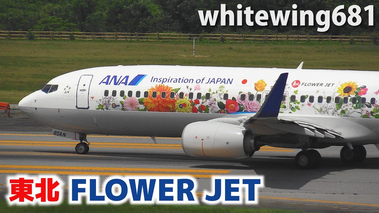 [東北FLOWER JET] ANA Boeing 737-800 JA85AN TAKE-OFF TOYAMA Airport 富山空港 ...