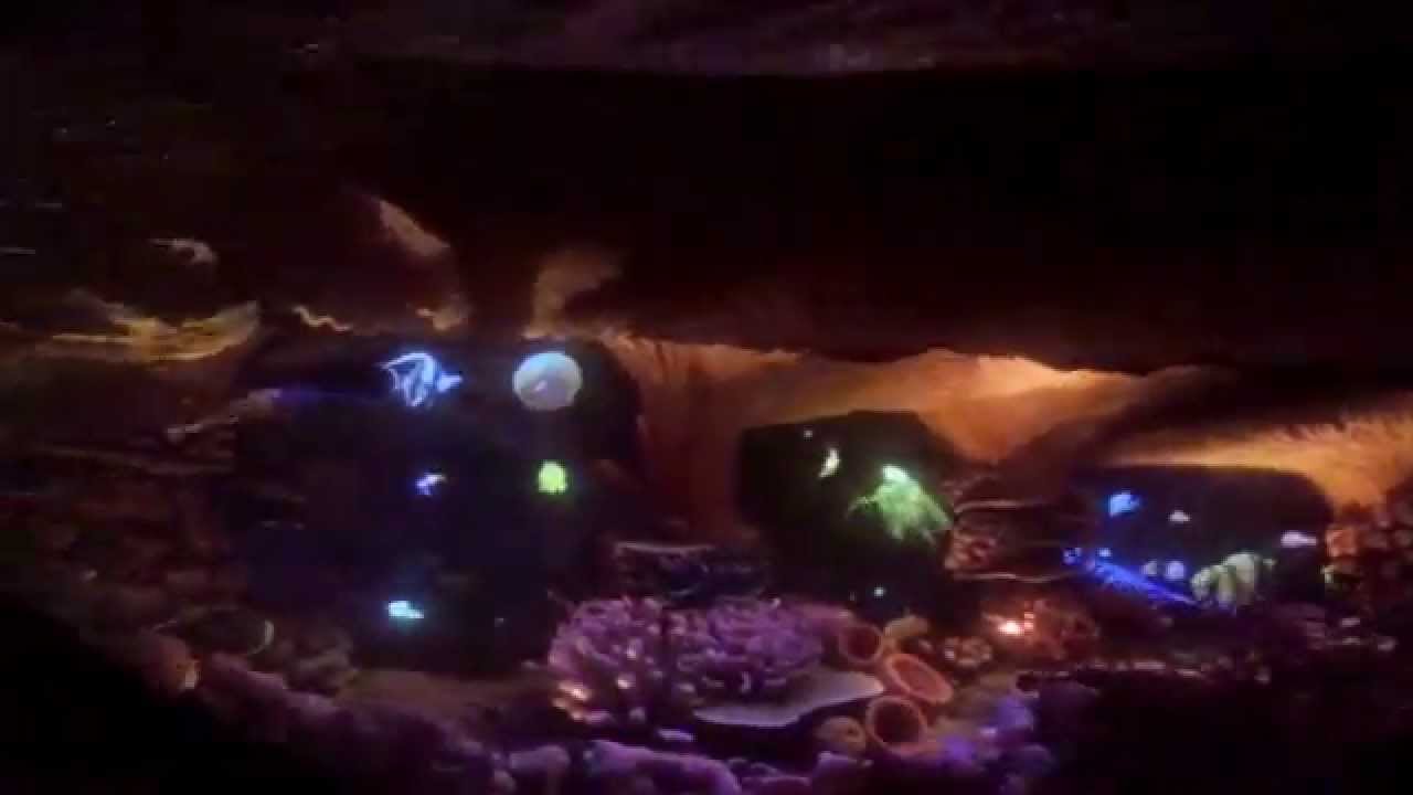 Finding Nemo Submarine Voyage - On-Ride - Disneyland - YouTube