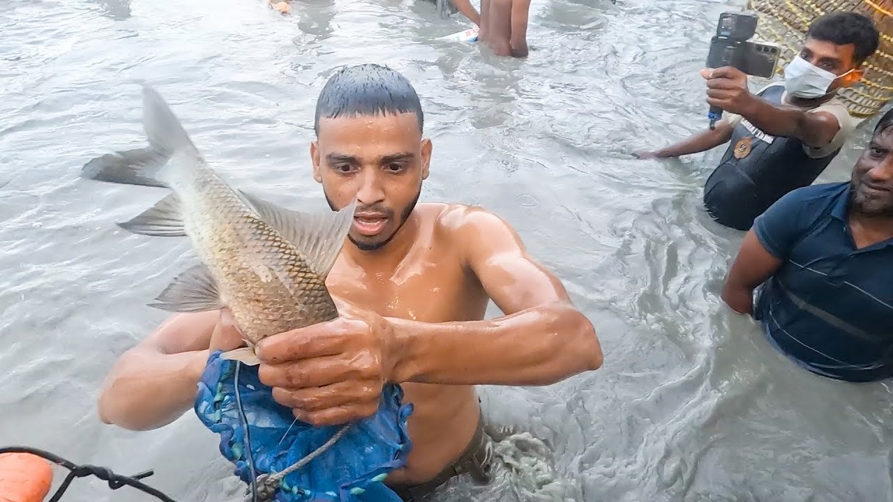 The Smart Boy Kamal Catching A Lot Of Fish Under Stairs Beside Pond By ...