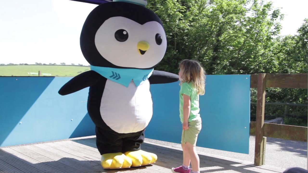 Octonauts at SEA LIFE 2017 - YouTube