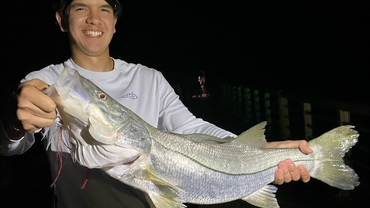 Snook Fishing l Catch clean and cook l Sebastian Inlet State Park 🌴 ...