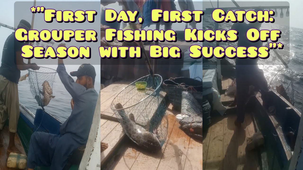 *"First Day, First Catch: Grouper Fishing Kicks Off Season with Big ...