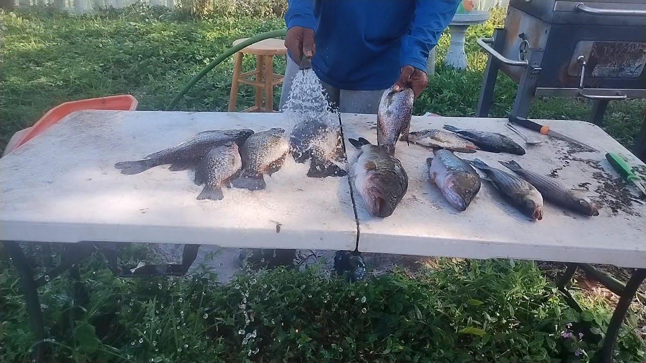 Cleaning Fish (CRAPPIE & BASS) 3 Ways for Fish Fry #fishcleaning # ...
