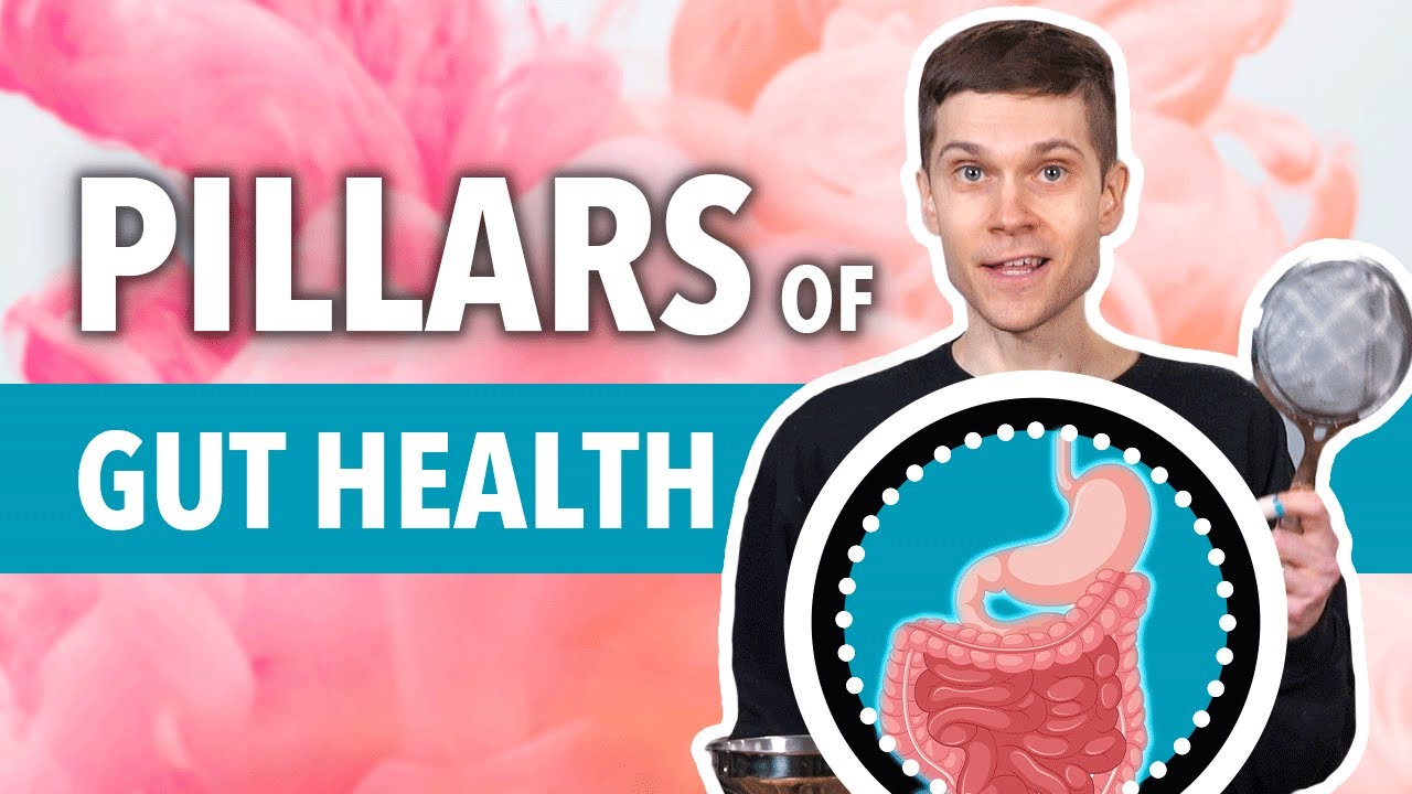 The Key Pillars Of Gut Health, What Affects Gut Health? | Gut Health ...
