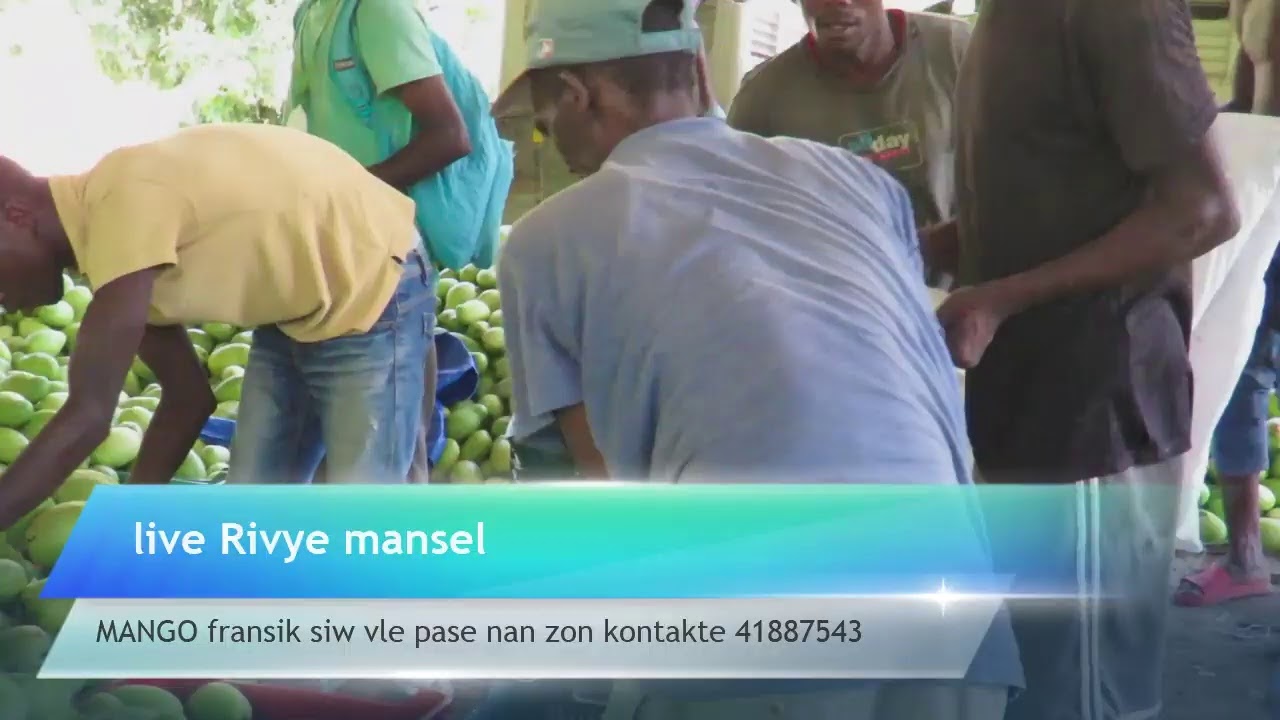 Mango Francisque gros morne haiti - YouTube