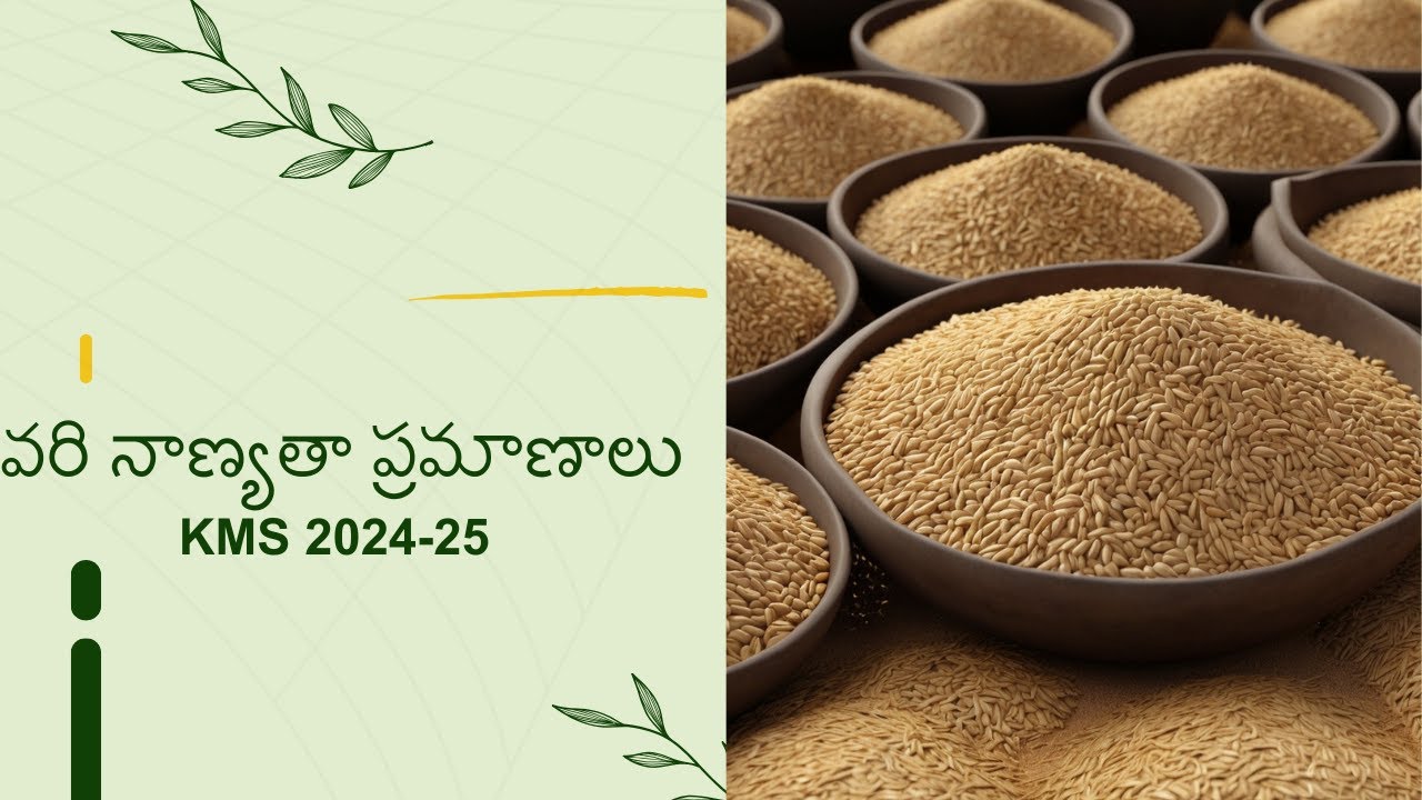Physical Analysis of Paddy-FAQ norms- Method of Analysis-Pictorial ...