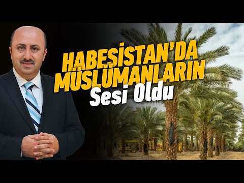 Kanatlarını Takarak Dünyadan Ayrılan Hz. Cafer-i Tayyar'ın Hayatı | Ömer Döngeloğlu