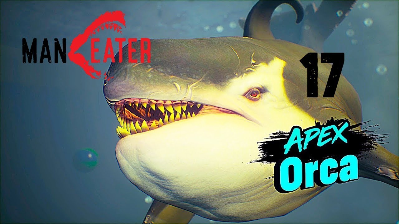 Maneater #17 Prédateur Orque - YouTube