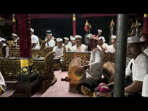 Tebar Pesona Bermain Kendang akibat Vibe Oleg Tamulilingan | Nyoman Monot | GAMELAN CAM