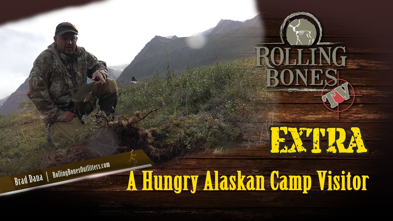 RBO-TV EXTRA: Brad's Hungry Camp Visitor - YouTube