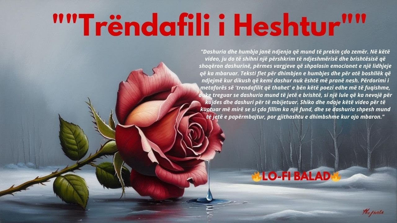 "Trëndafili i Heshtur" - AIMELODY ALBANIA #Dashuri #Humbje #Trëndafil # ...