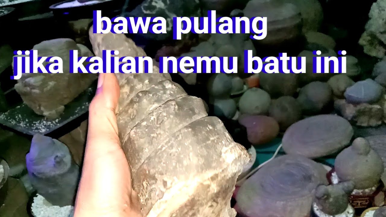 batu mahal ini ada di sungai terdekat cuma kita ga tau - YouTube