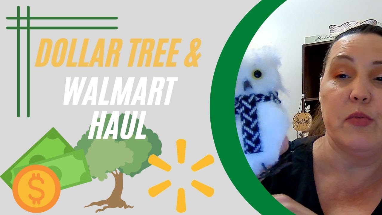 Dollar Tree and Walmart Shopping Haul - YouTube