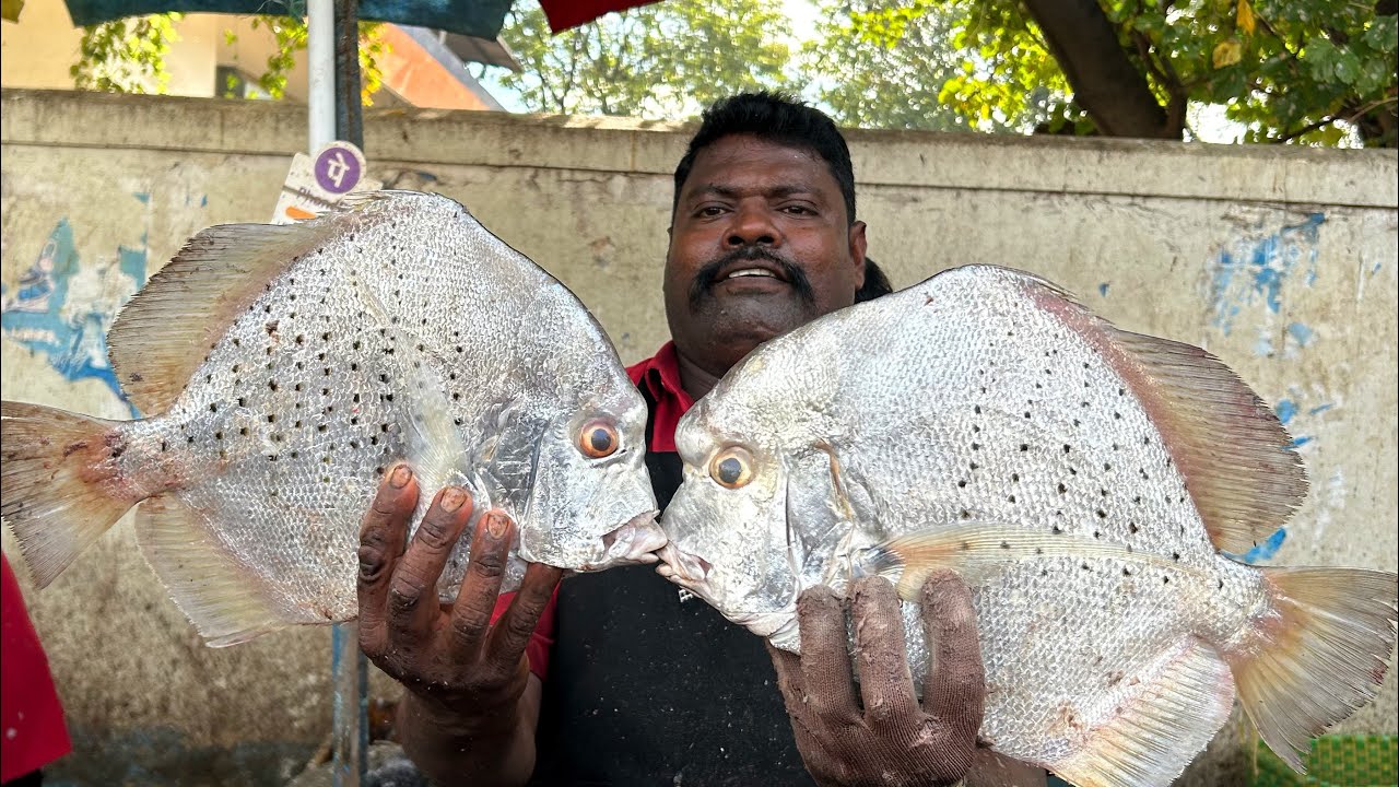 🤯THARATTAI FISH | OUTSTANDING CUTTING STYLE BY KASIMEDU SPEED SELVAM # ...