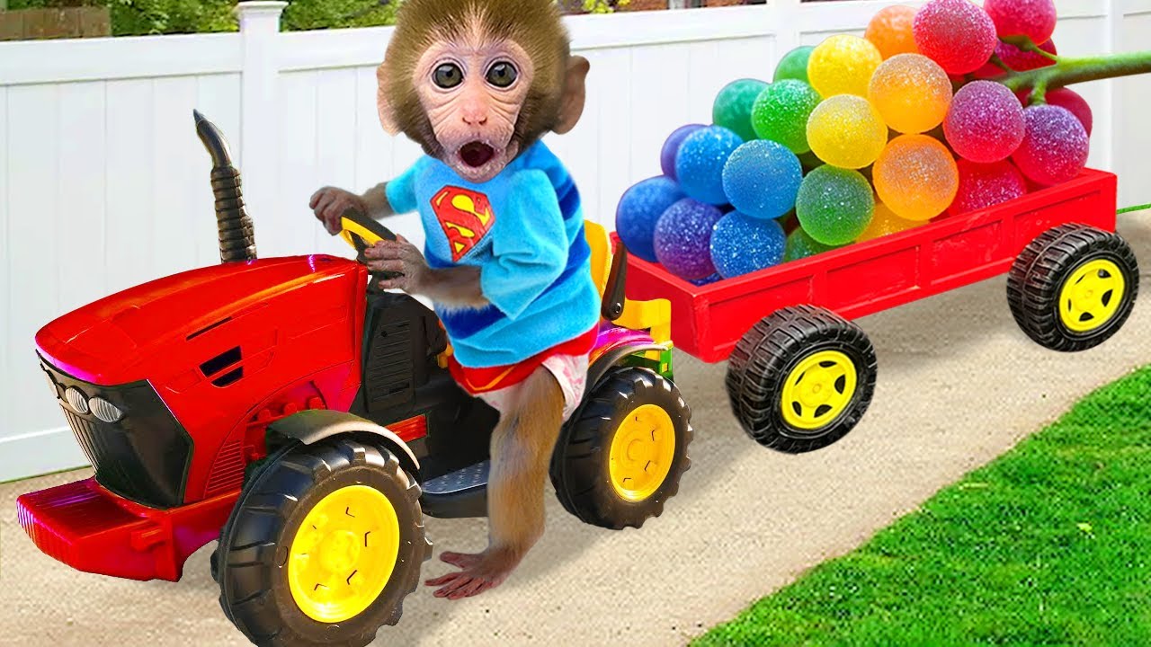 Monkey Baby Bon Bon and the Adventurous Journey to Collect Golden Eggs ...