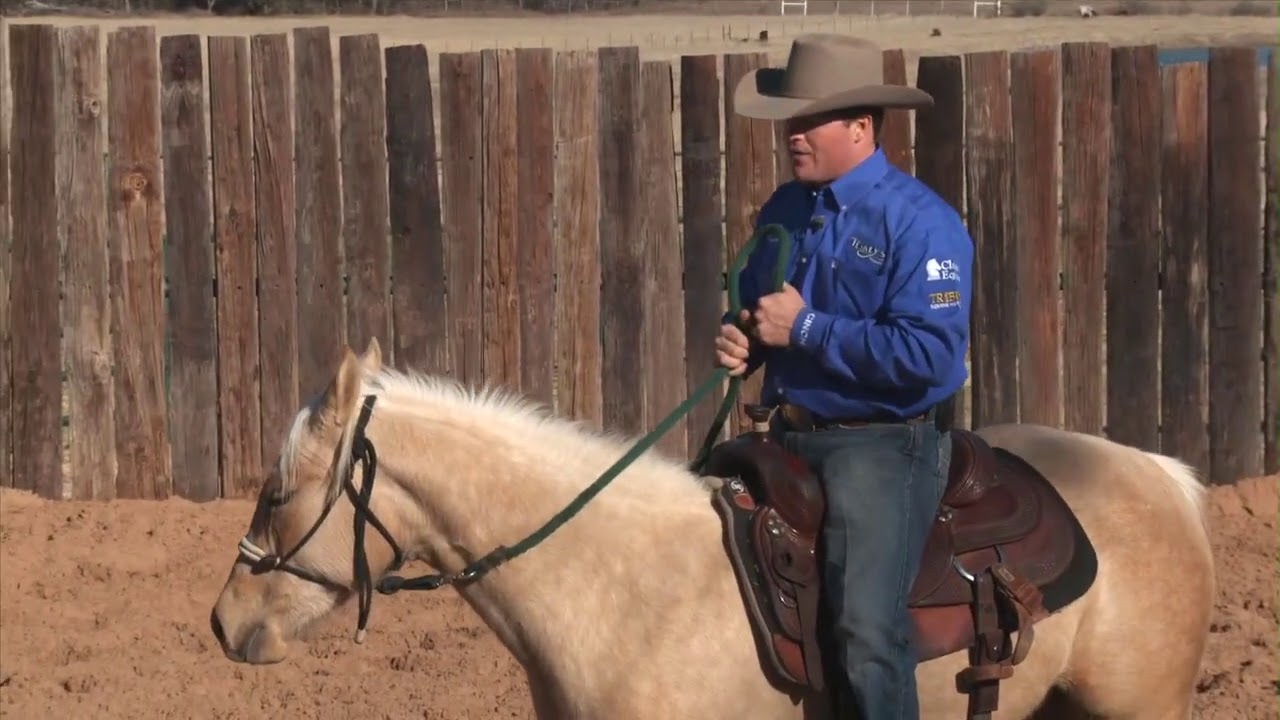 Casey Deary Starting 2-Year-Olds Part 7 - YouTube