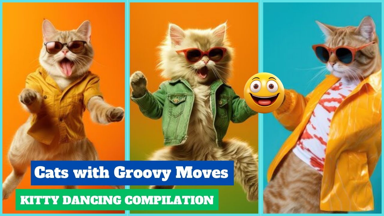FUNNY CATS COMPILATION- CATS GROOVY DANCING MOVES - YouTube