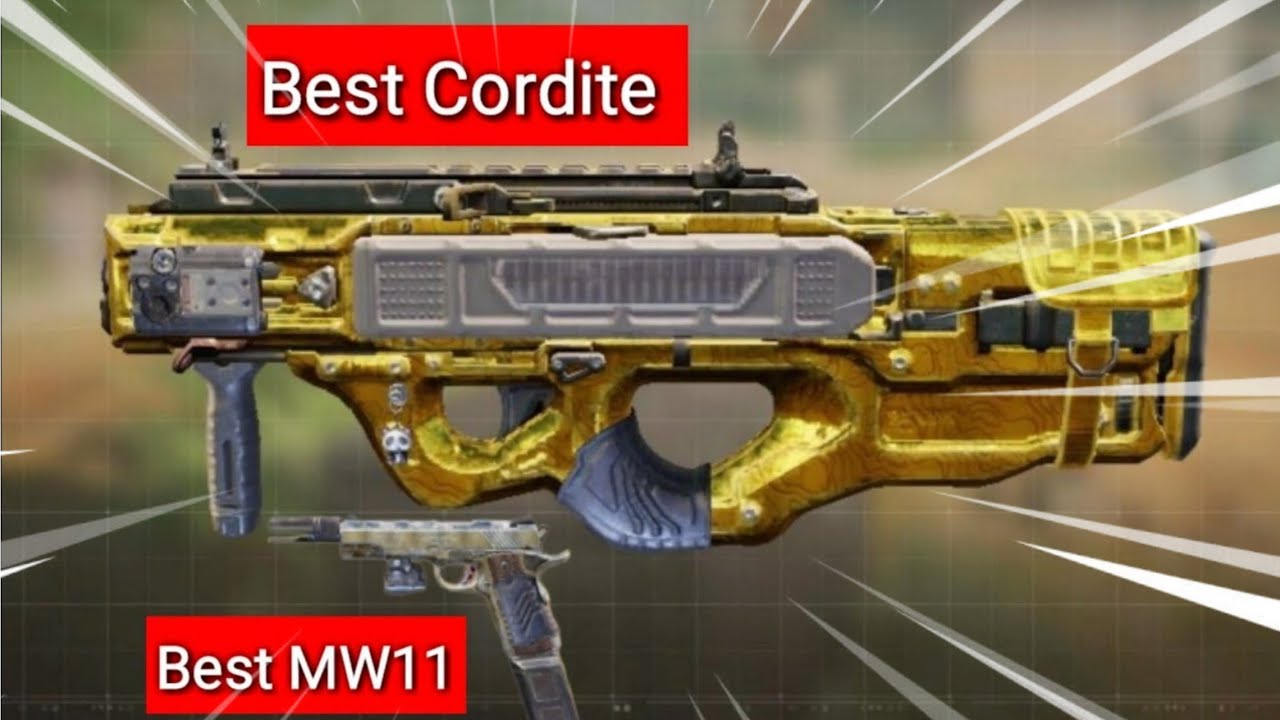 Best Cordite and Best MW11 | Cordite recoil so good - YouTube