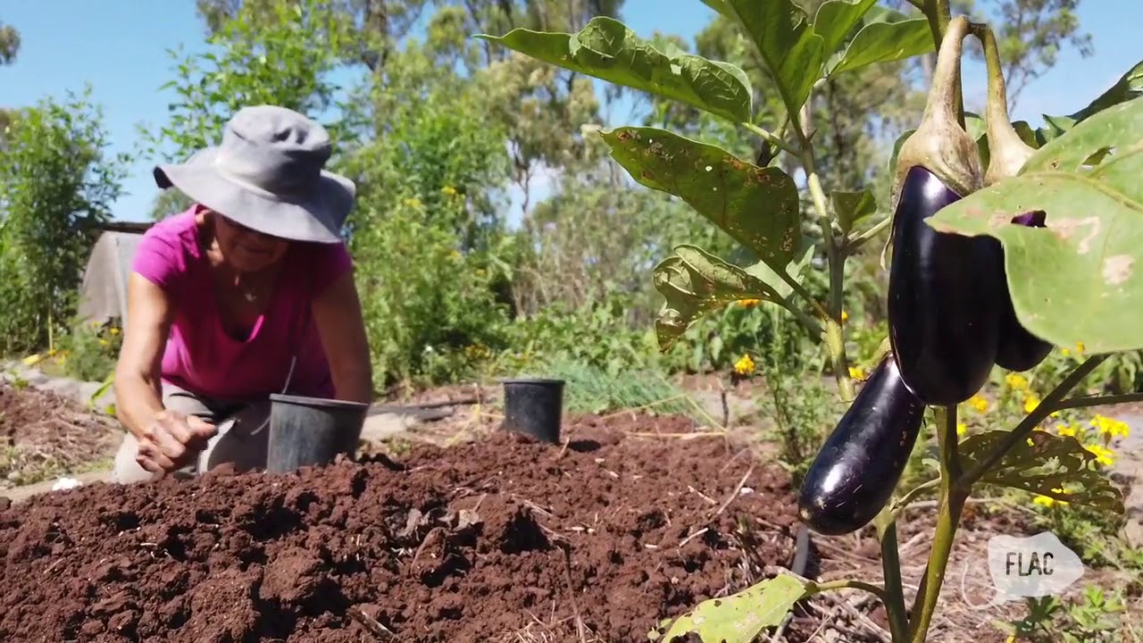 Empowering Communities @Camp Binbee - YouTube